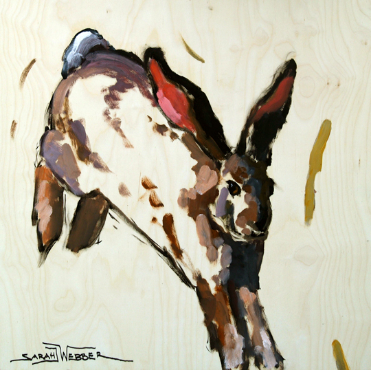 Sarah Webber, paintings, Wilde Meyer Gallery