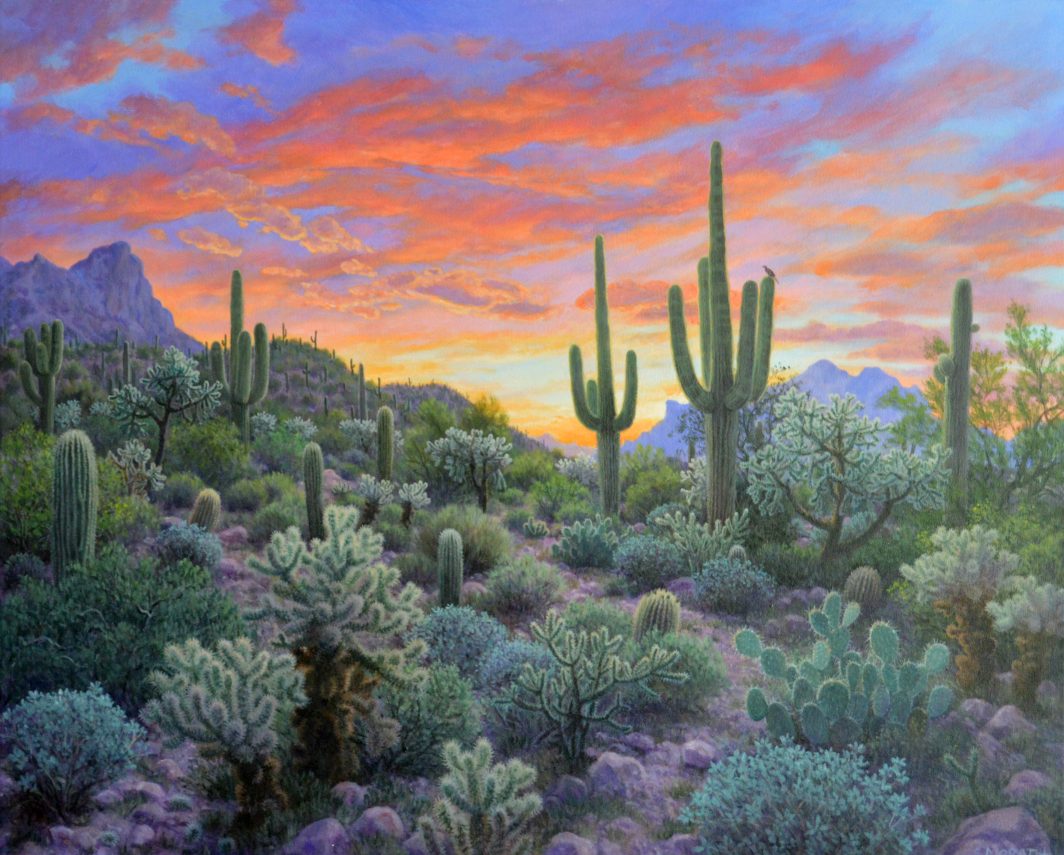 Stephen Morath • Wilde Meyer Gallery | Scottsdale & Tucson